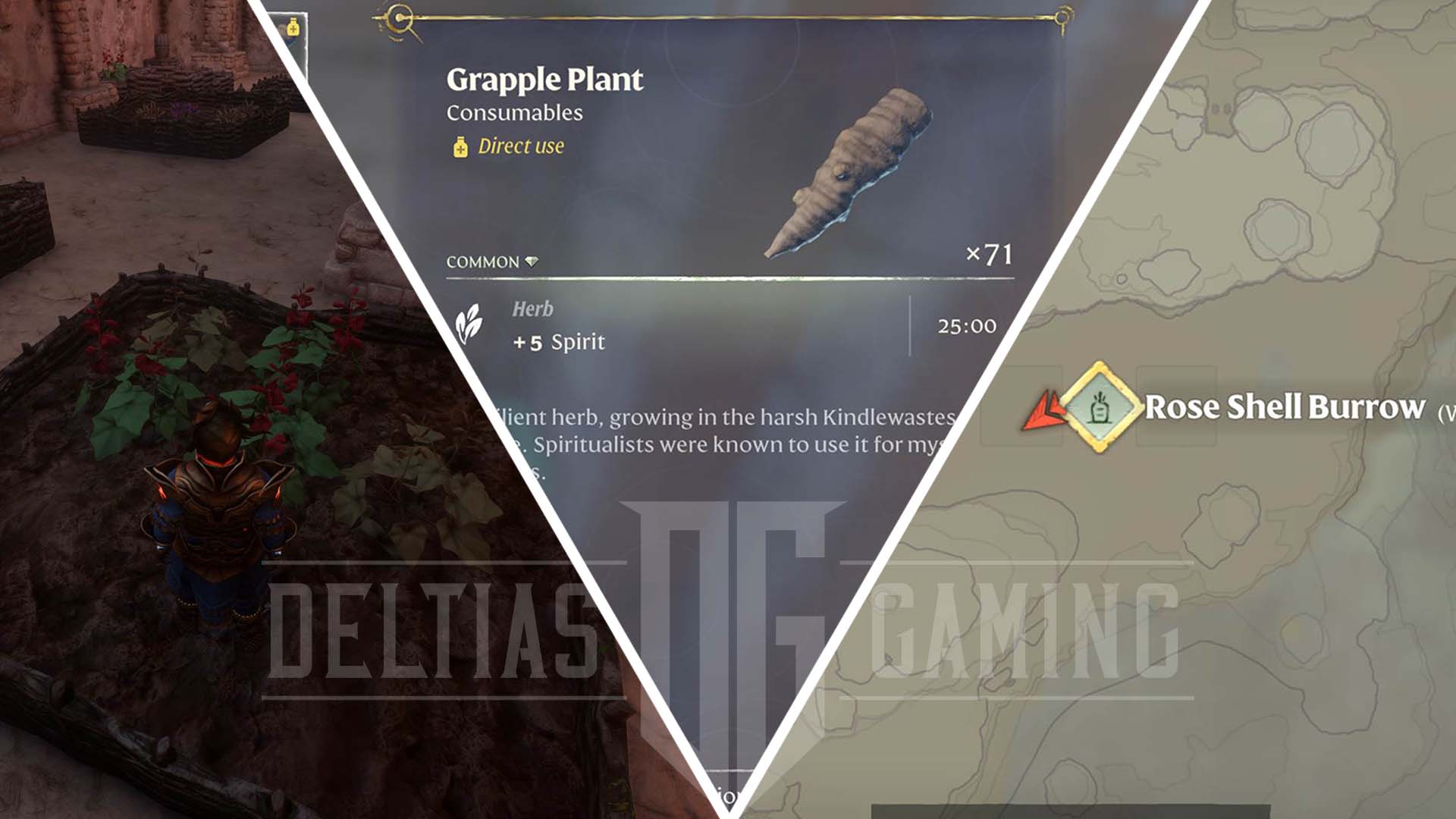 Come ottenere la pianta del rampino in Enshrouded